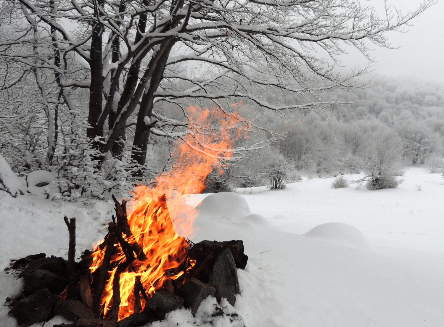 How to Build a Fire in Winter – Rocketfire Torch